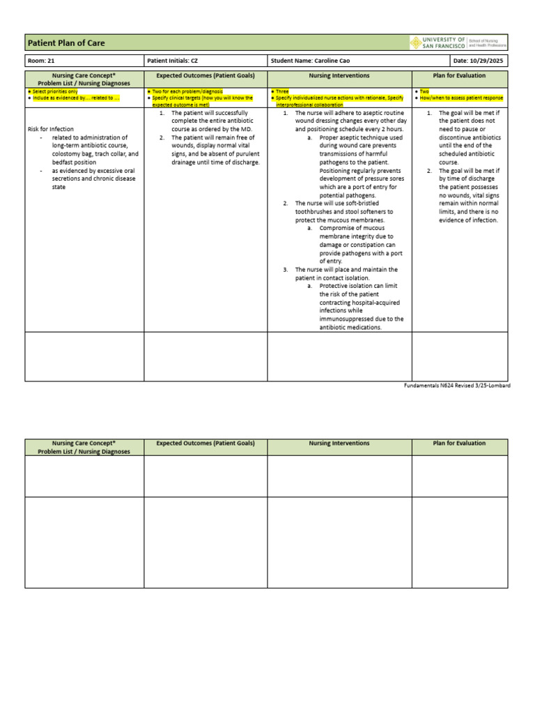 Patient Care Plan 3 | PDF | Infection | Nursing