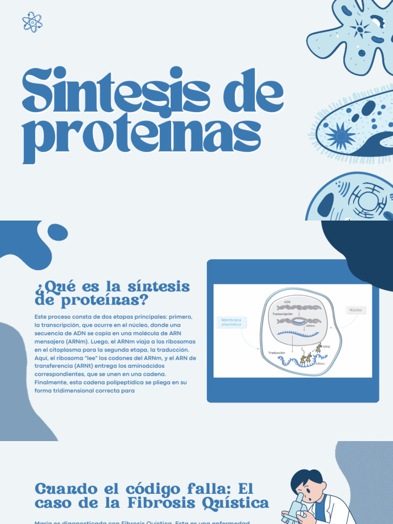 Sintesis de Proteinas | PDF | Traducción (biología) | Proteínas