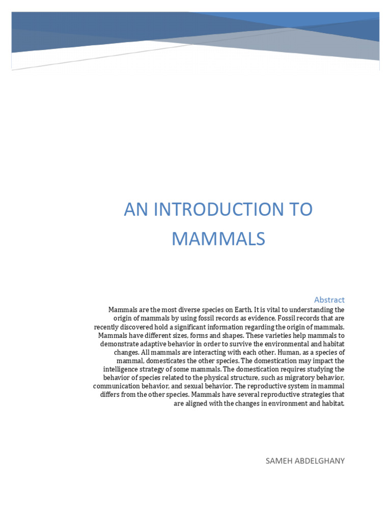 An Introduction To Mammals | PDF | Reproductive System | Uterus