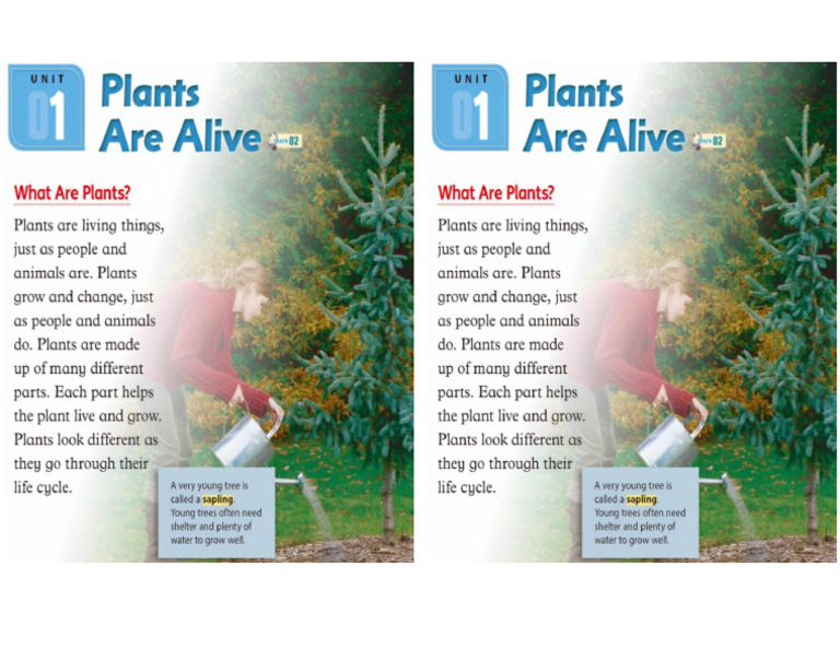 Plants Are Alive 3rd Grade Reading | PDF