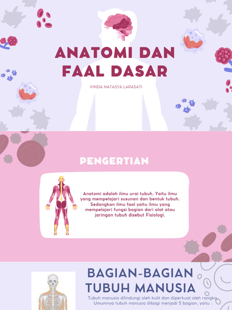 Anatomi Dan Faal Dasar | PDF