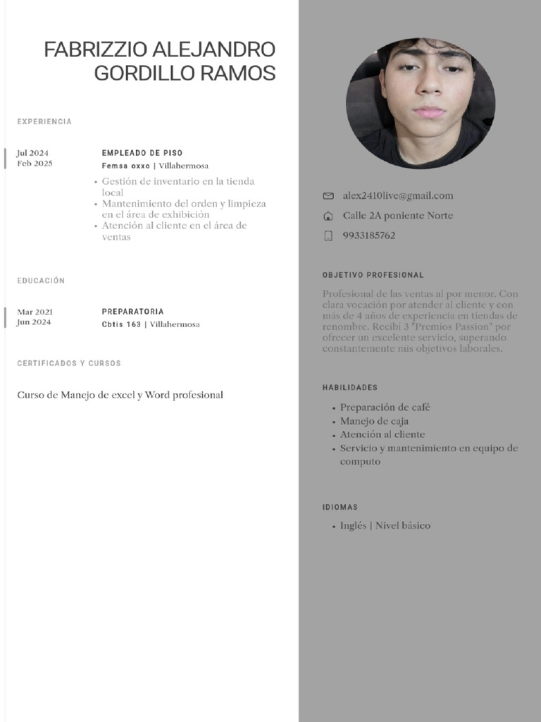 Fabrizzio CV | PDF