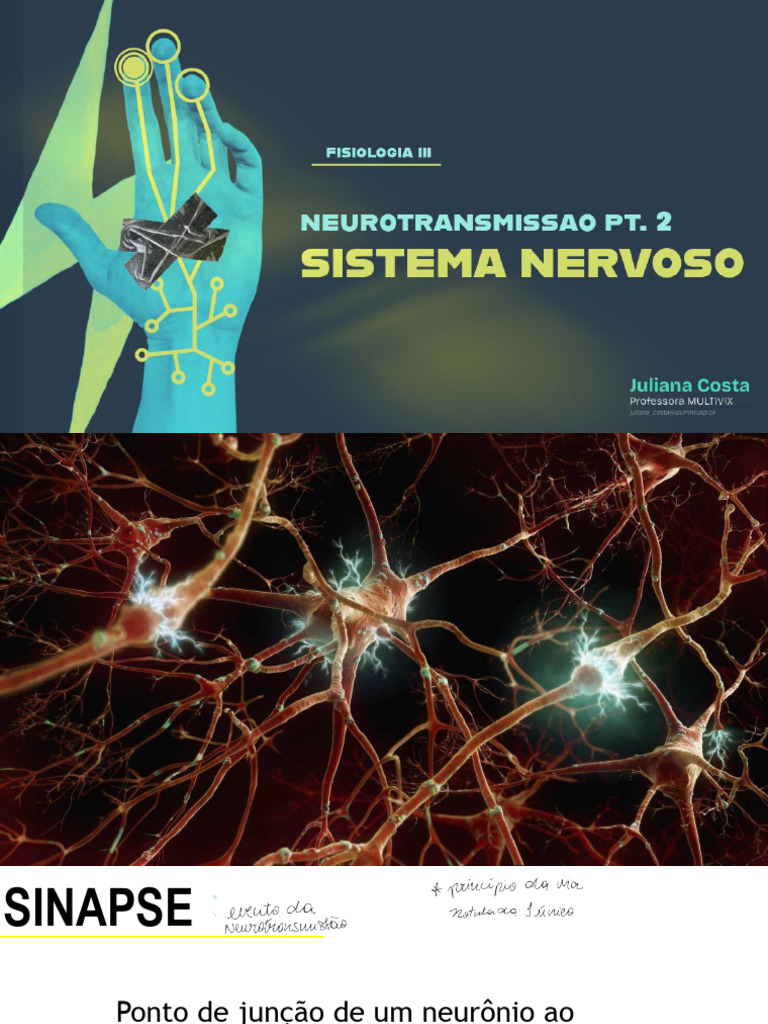 1.2 AULA_NEUROTRANSMISSÃO PT. 2_FISIOLOGIA III.pptx | PDF | Sinapse | Potencial pós-sináptico ...