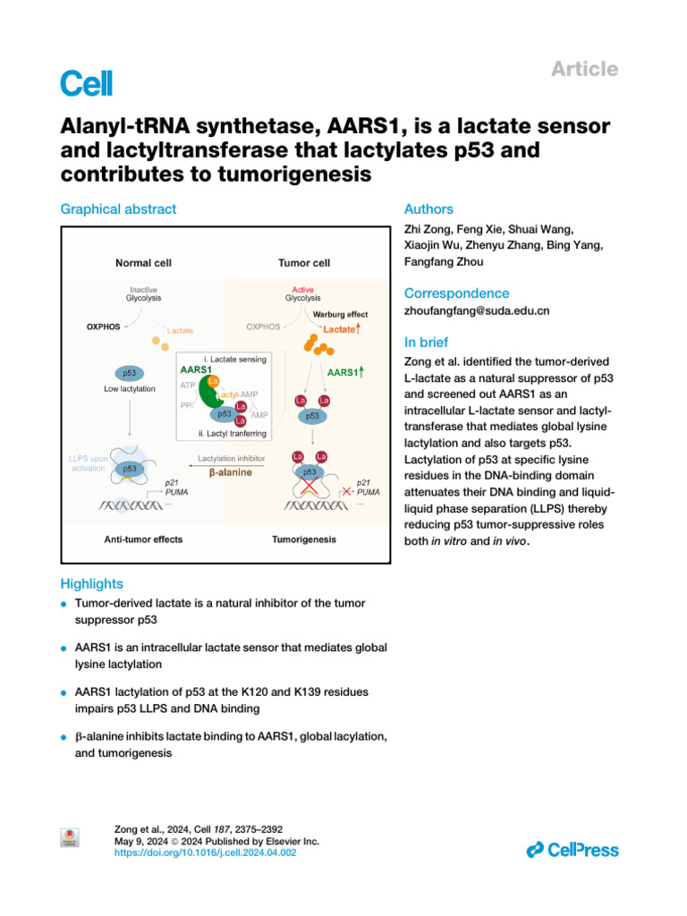 Alanyl-tRNA Synthetase, AARS1, Is a Lactate Sensor and ...