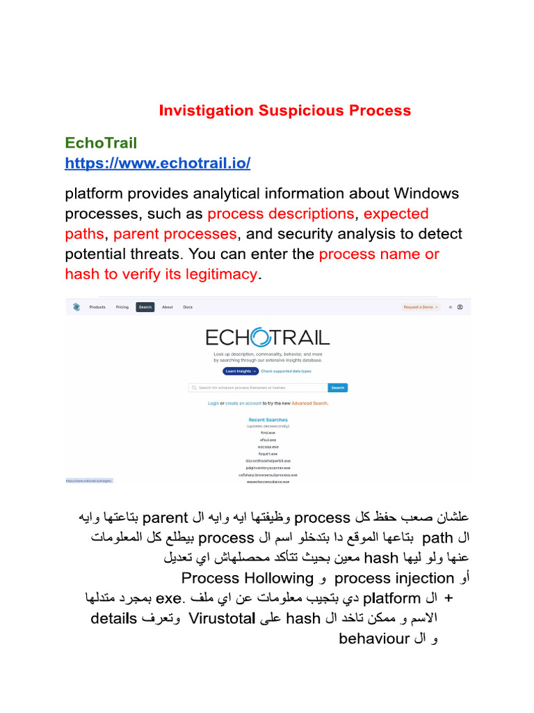 Investigate Suspicious Process 1740817418 | PDF