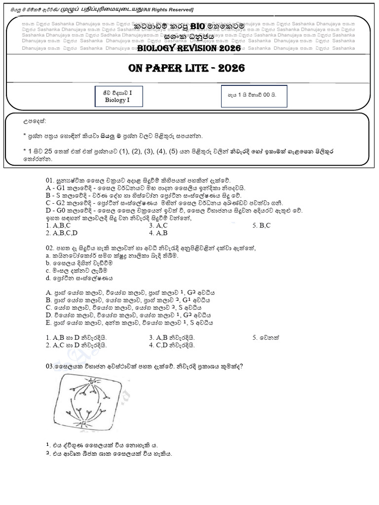 2026 Og Paper Lite | PDF