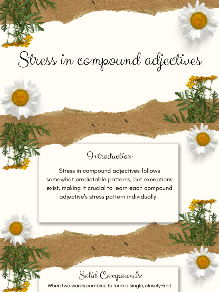 Unit 16. Stress in Compound Adjectives | PDF | Adjective | Stress ...