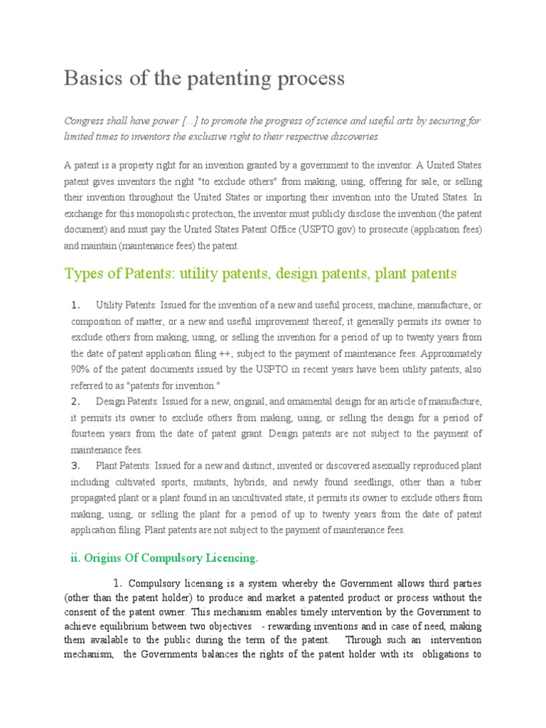 Basics of The Patenting Process | PDF | Patent | Patent Application