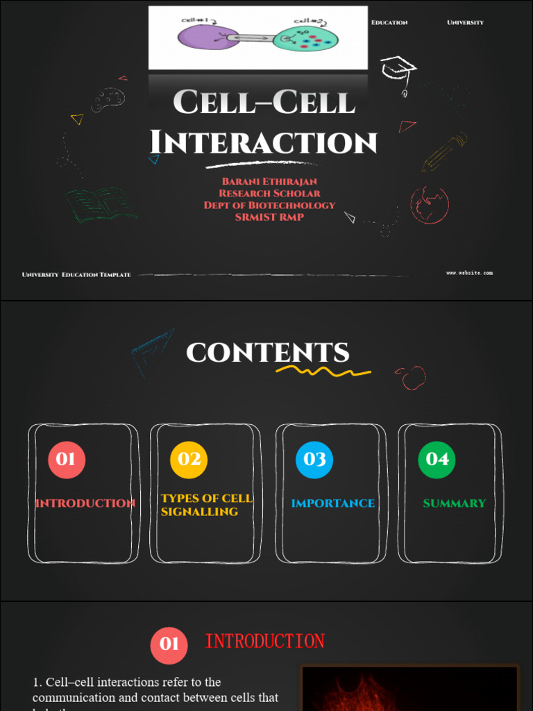 Cell Cell Interaction | PDF | Cell Signaling | Chemical Synapse