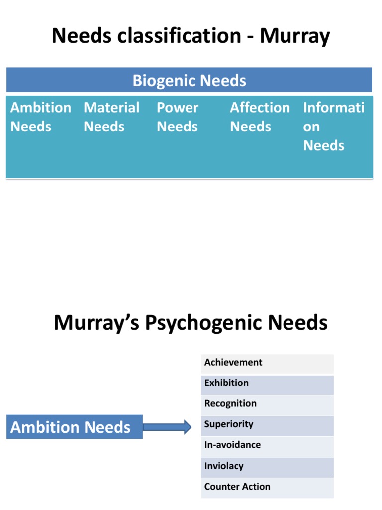 Murray's Psychogenic Needs Overview | PDF