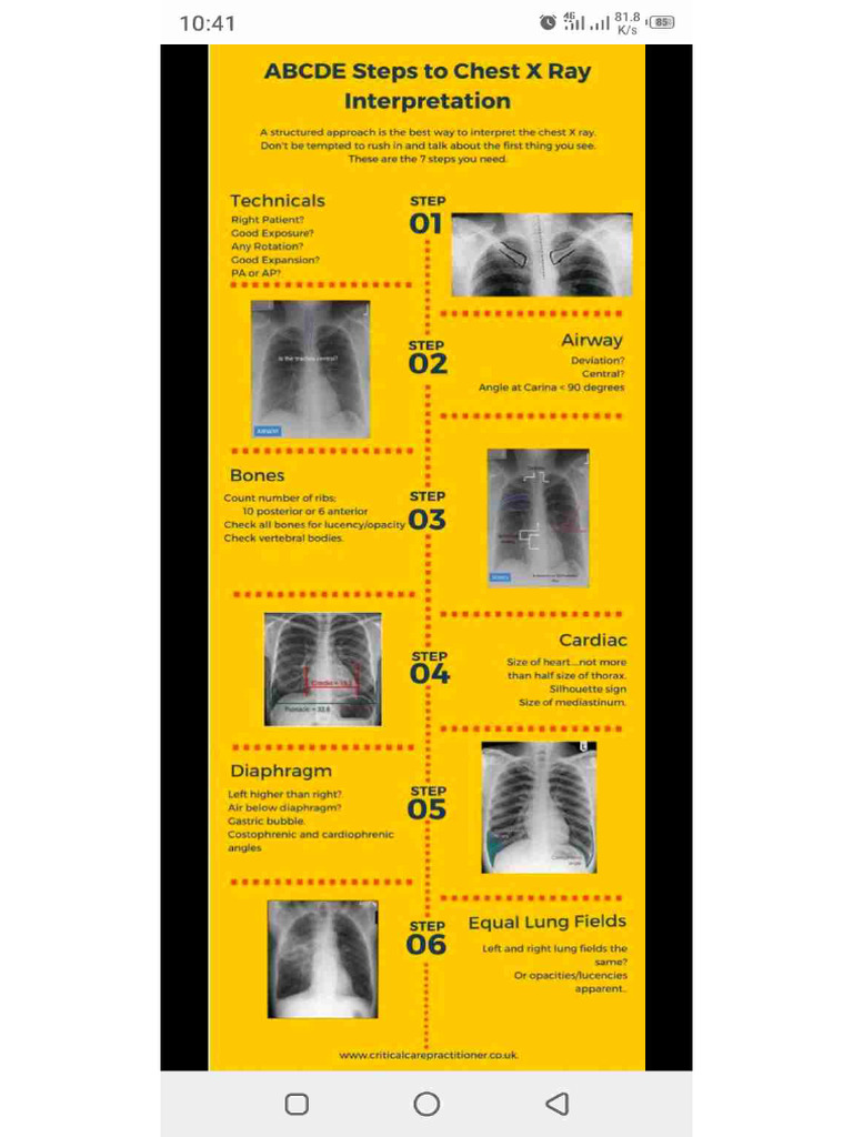 X Ray Bright Doctors Course | PDF