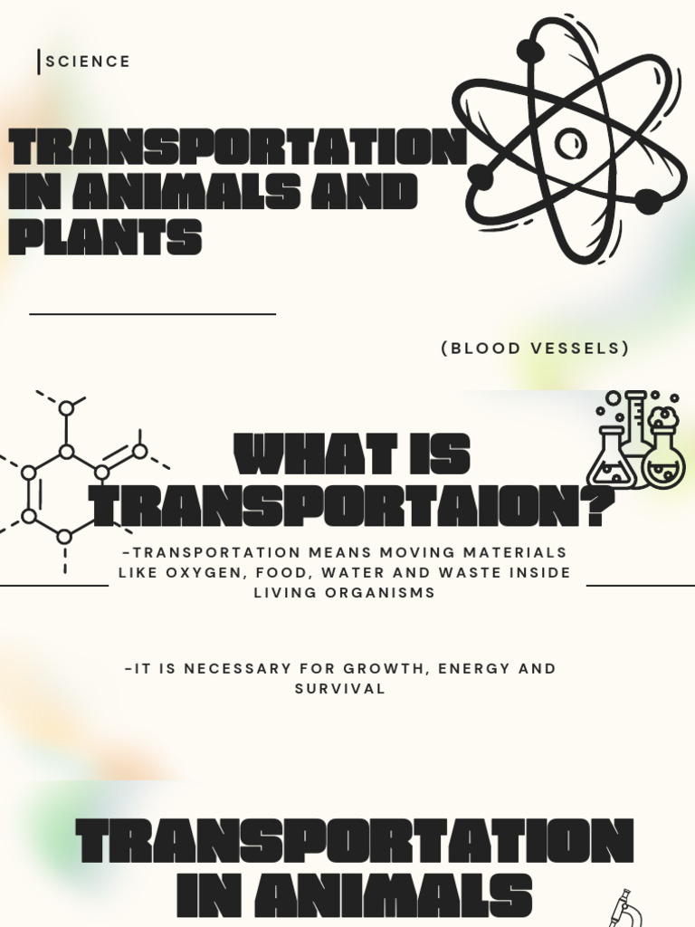 Transportation in Animals and Plants (3) | PDF