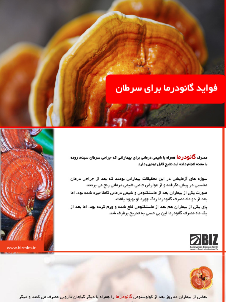 4_5794350802919228547 | PDF