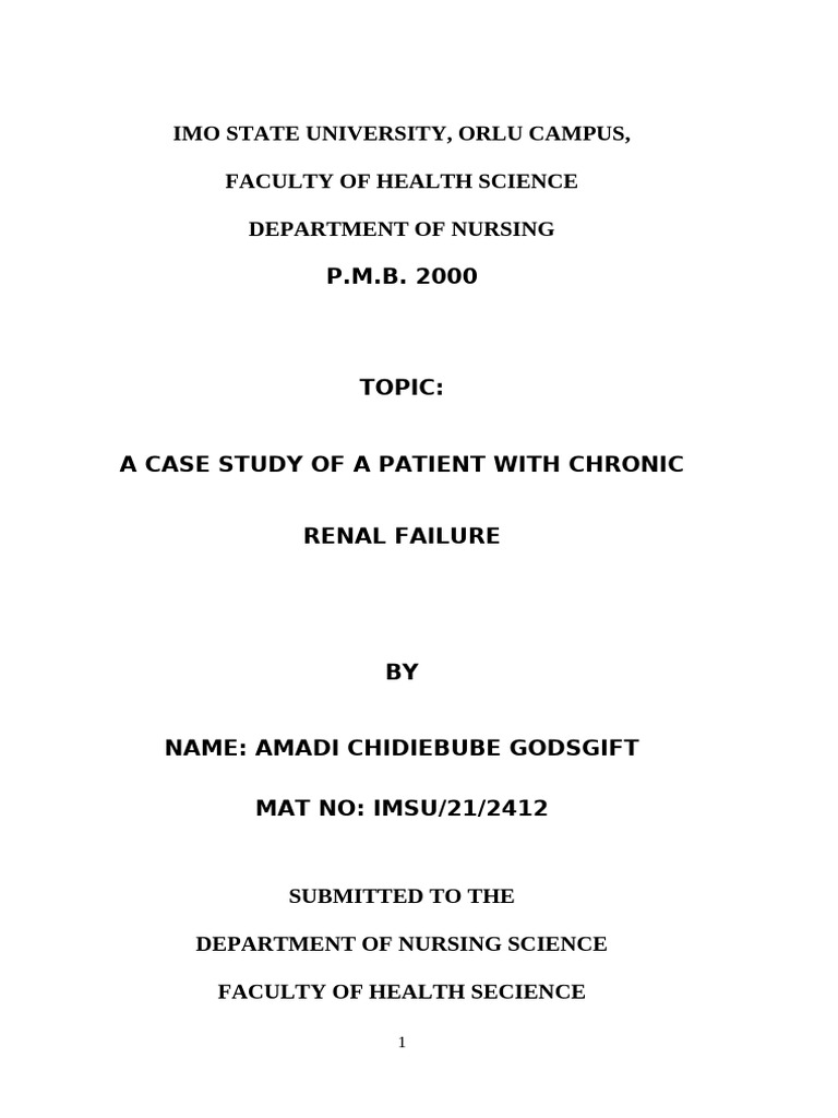 Amadi Chidiebube Case Study Work | PDF