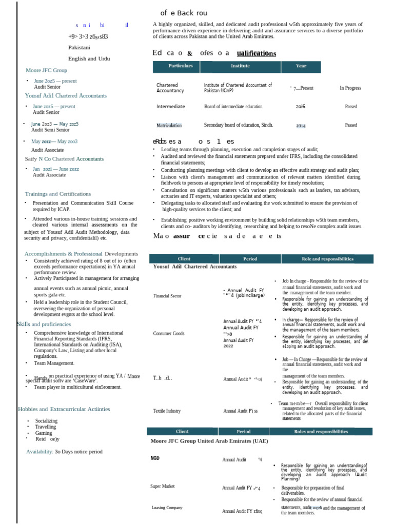 Mustansir Aftab Arabi - CV | PDF | Audit | Business