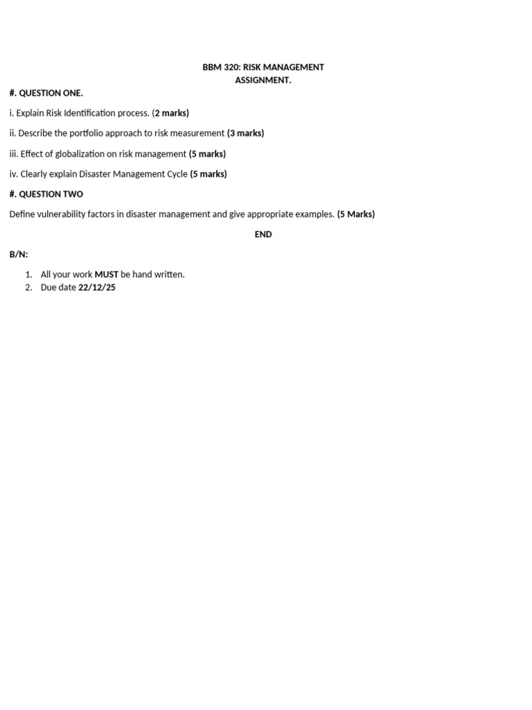 BBM 320 Assignment | PDF