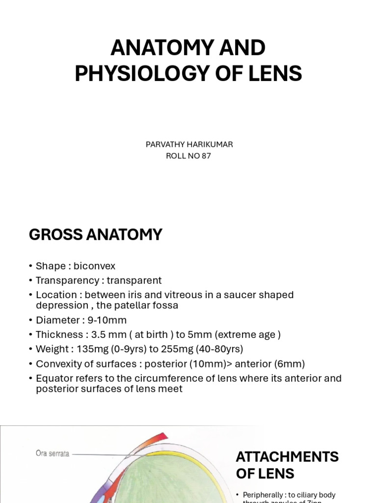 Anatomy and Physiology of Lens | PDF | Anatomy | Human Eye