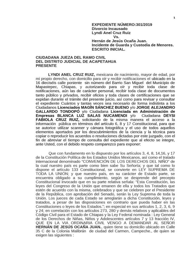 Demanda Incidental de Guarda y Custodia Lyndi | PDF | Parentesco ...