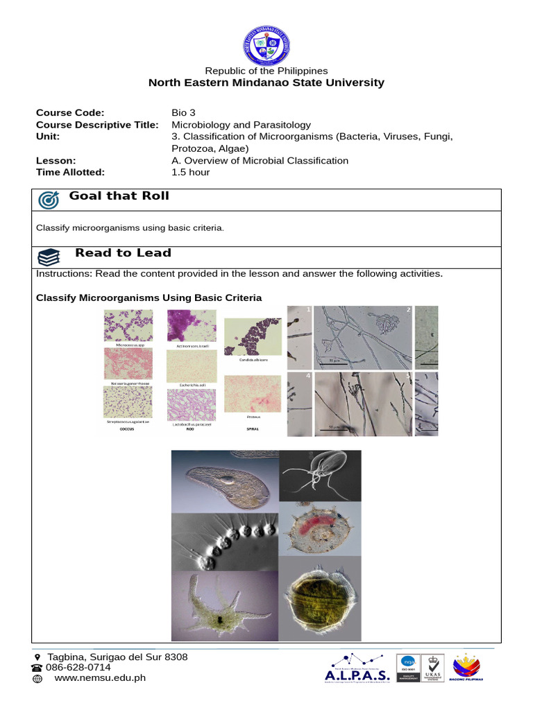 U3LA - Overview of Microbial Classification | PDF | Microorganism ...