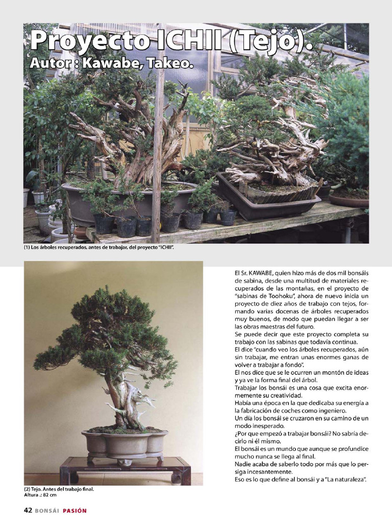 Proyecto de Tejo | PDF