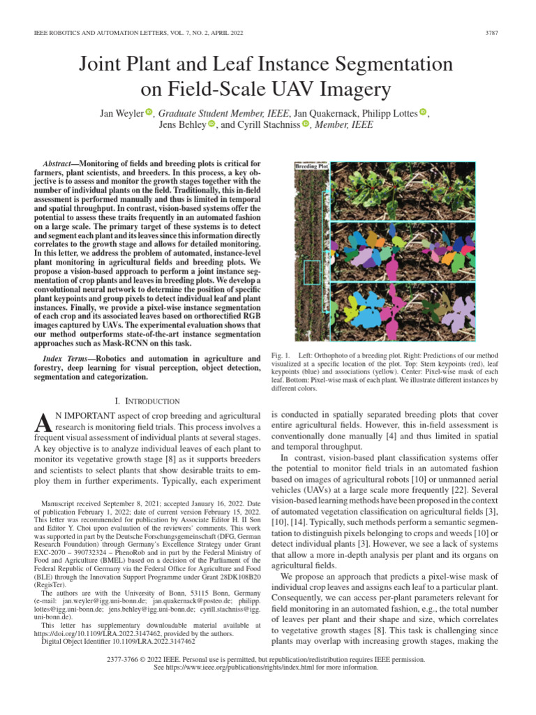 Joint Plant and Leaf Instance Segmentation on Field-Scale UAV Imagery ...