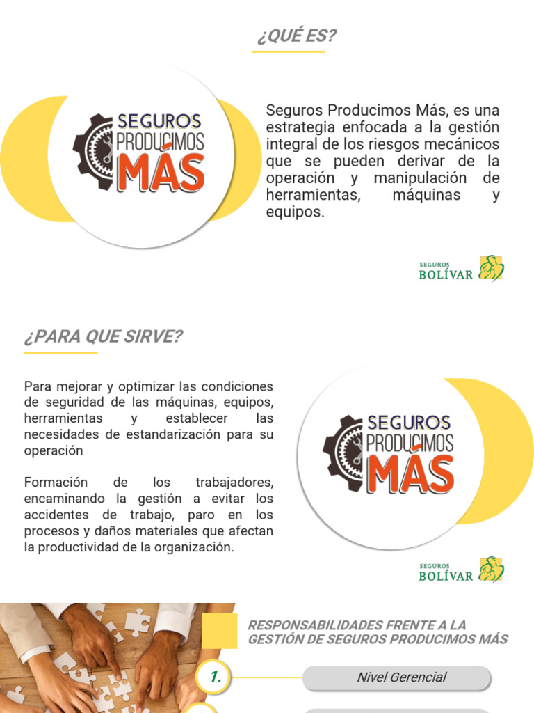 2.Seguros Producimosmás Presentación Del Programa | PDF | Business