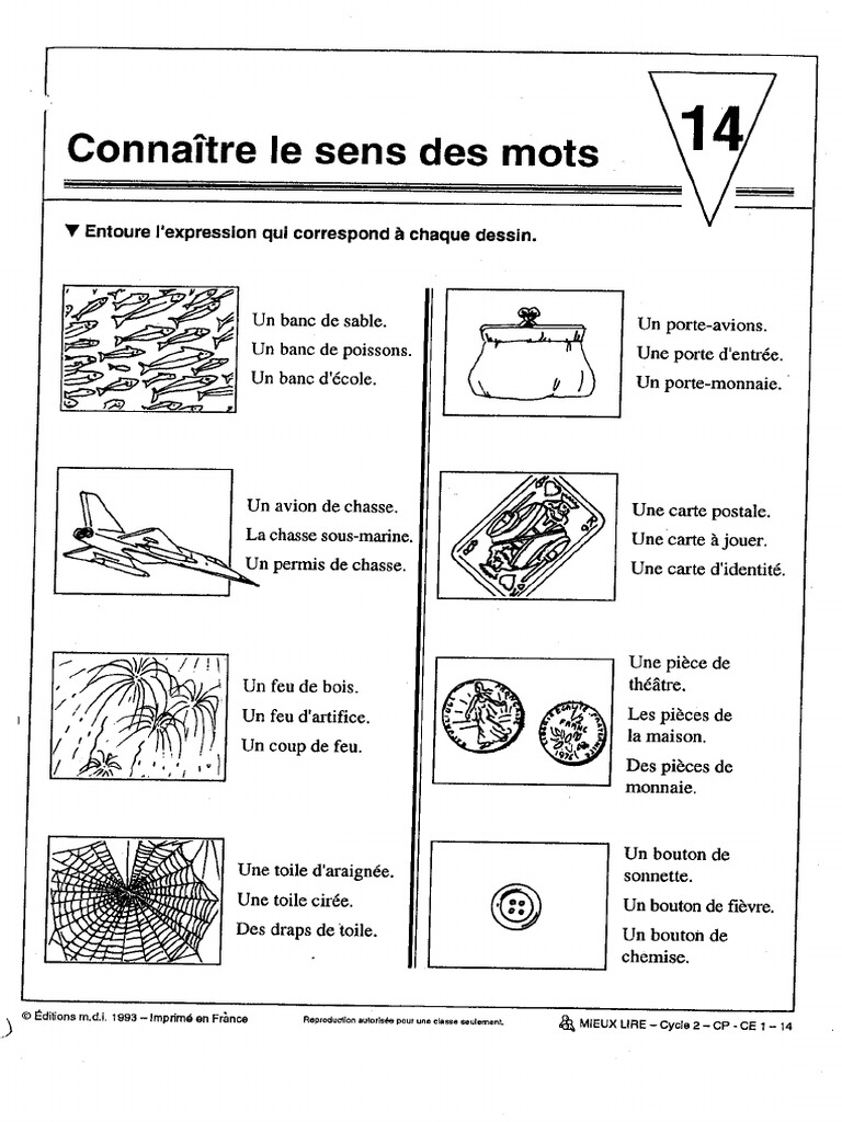 Connaître Le Sens Des Mots | PDF