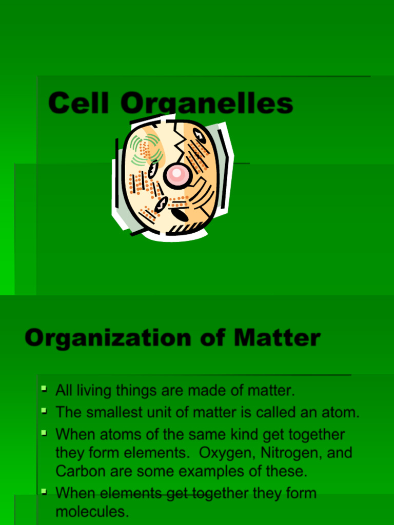 BIO Cell Organelles 1 Cosmas?@Sug Level | PDF | Cell (Biology) | Cytoplasm