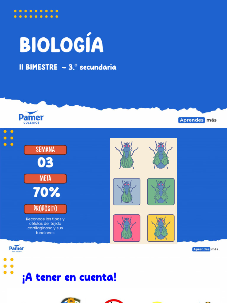 Sem3 s3 Bio Ae2025 II Bim | PDF