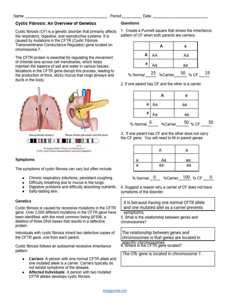 Cystic Fibrosis_ an Overview of Genetic Disorders | PDF | Genetics ...