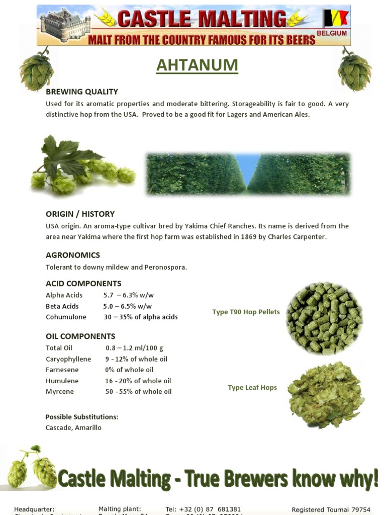 Ahtanum Hops: Characteristics & Uses | PDF