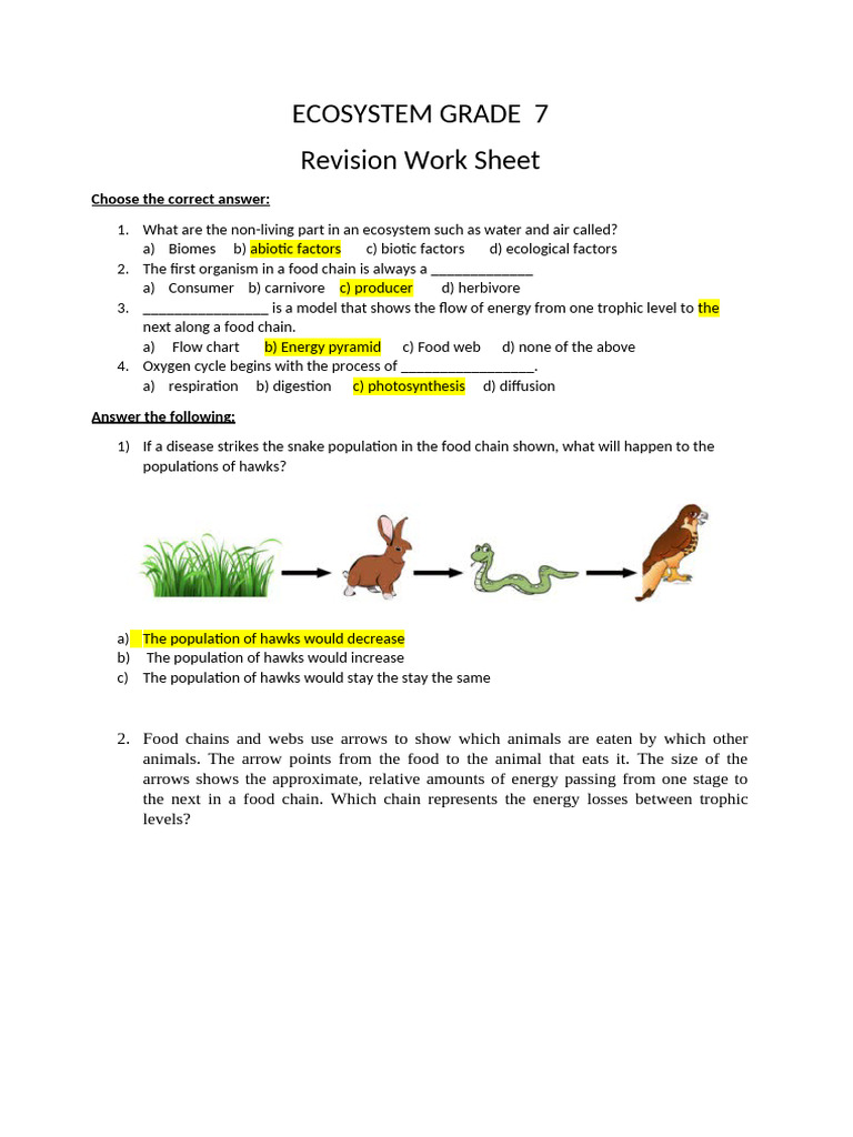 Sanafar Answers Grade 7 Ecosystem Worksheet 7 | PDF | Ecosystem | Food Web