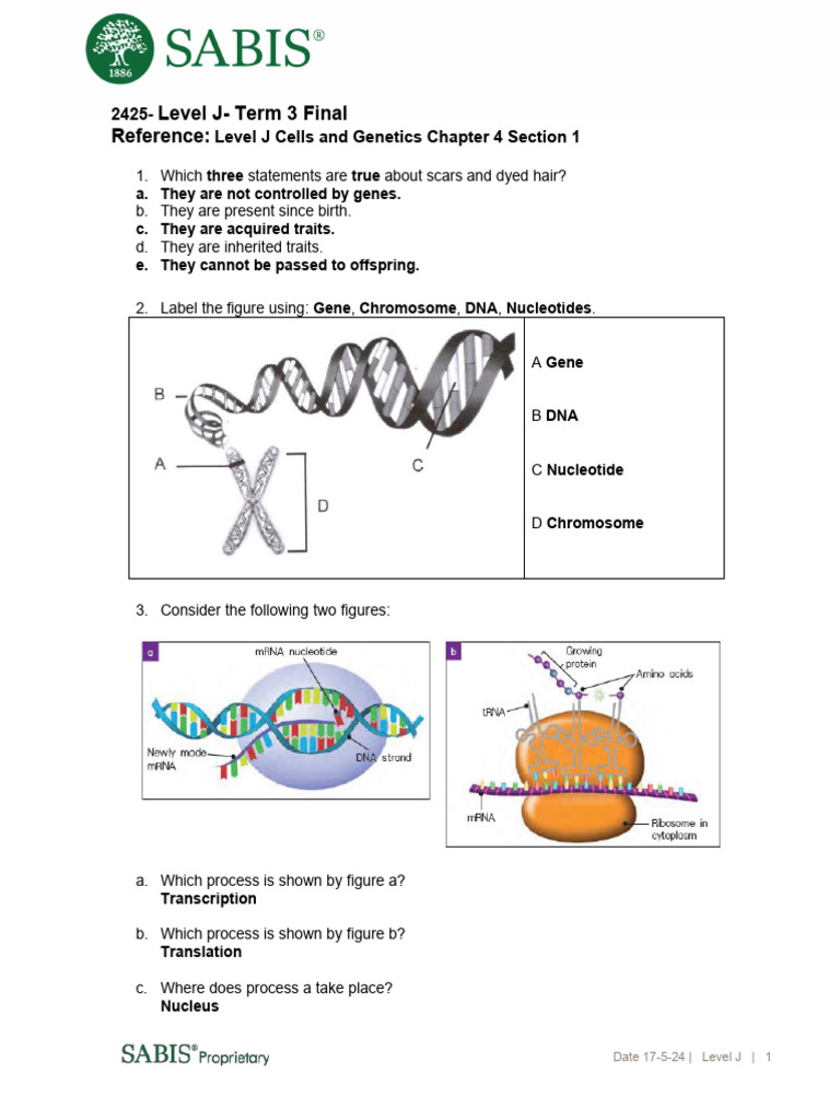 2425 Level J Term 3 Final Science Revision Sheet AK | PDF | Genotype ...