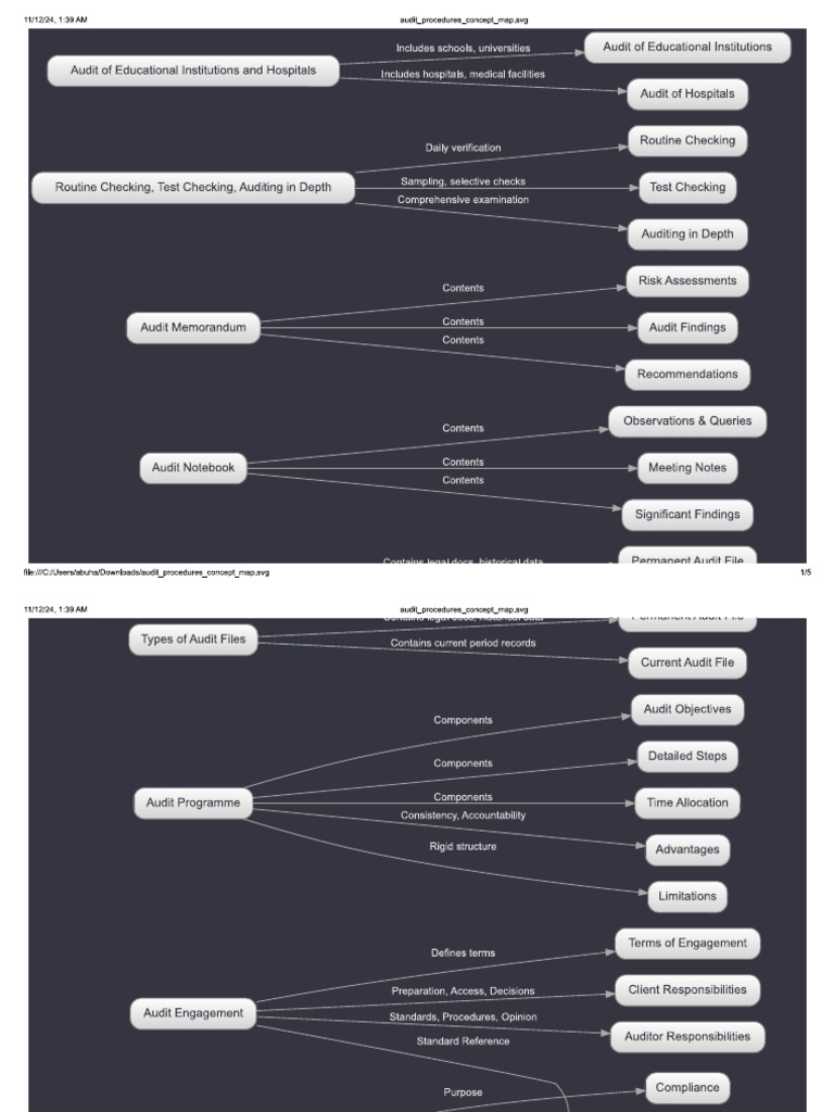 Auditing b.com, Sem-V, Cbcs Mind Map Unit 2 | PDF