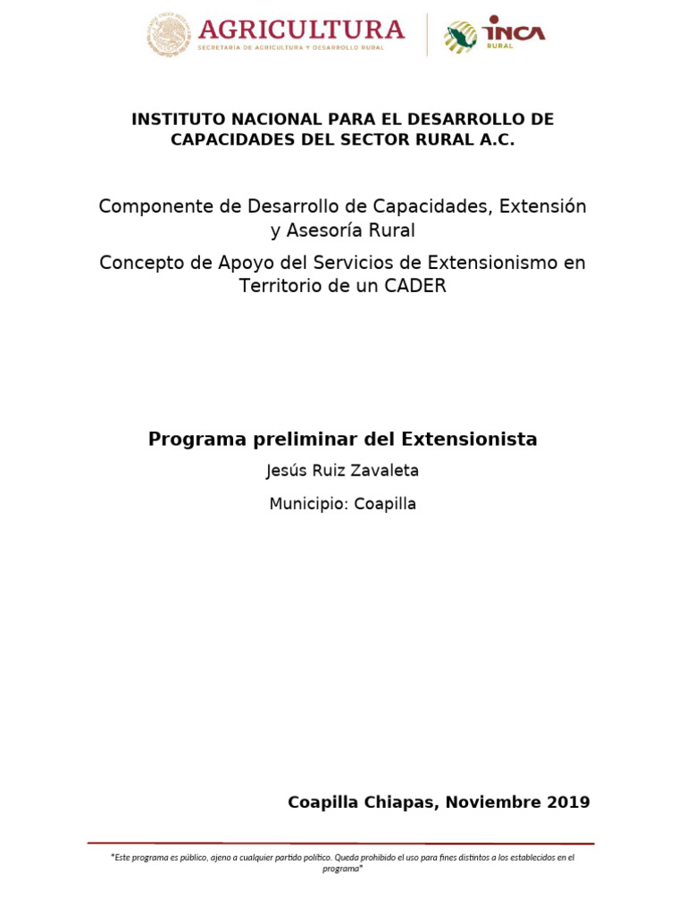 Programa de Trabajo Preliminar EXTENSIONISTA VF Homero (1) | PDF