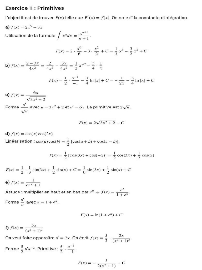 TD Primitive & Calcul Integral | PDF