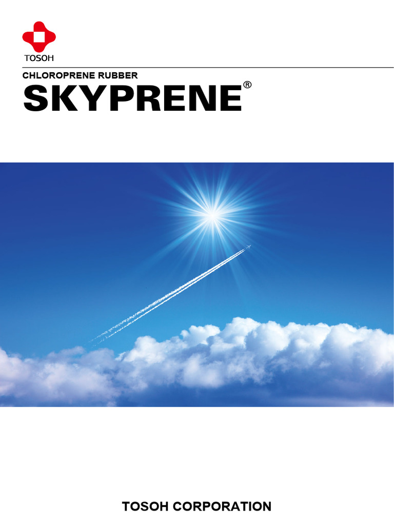 Tosoh Skyprene Range Hind Elastomers Pvt. LTD | PDF | Natural Rubber ...