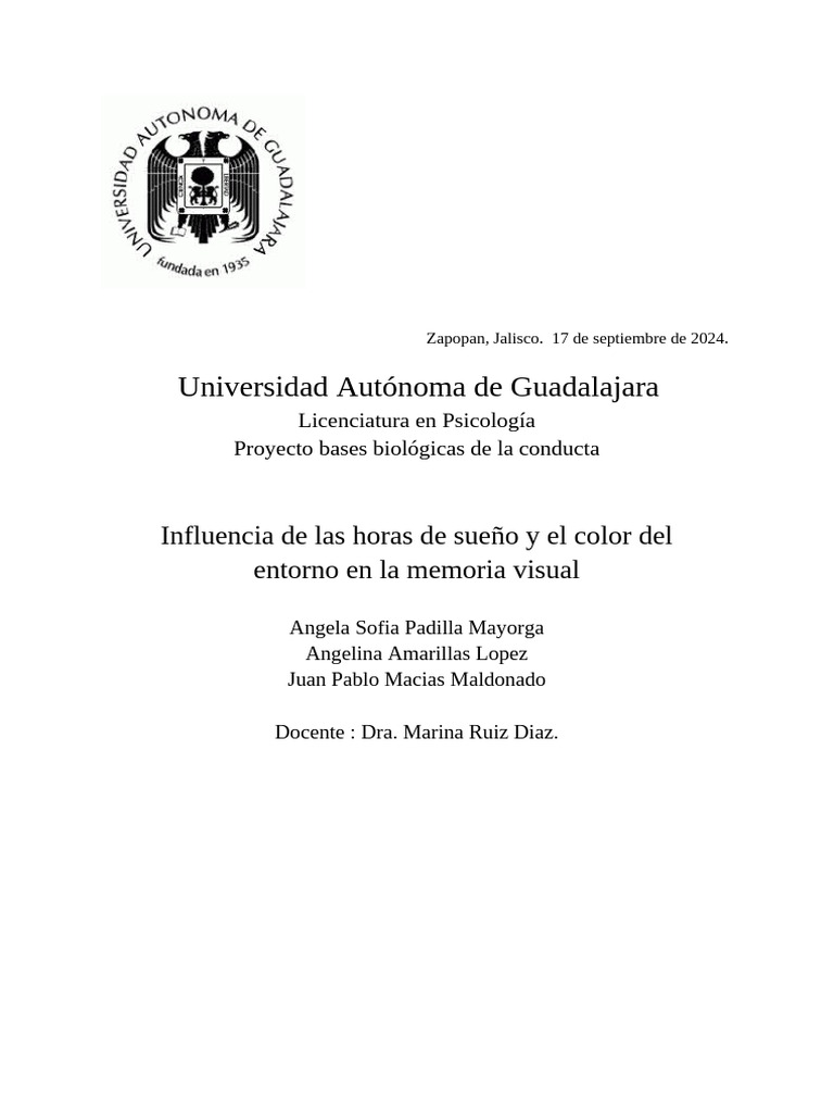 Proyecto Visual | PDF | Percepción visual | Amnesia