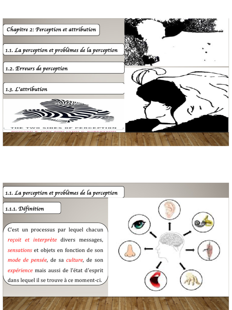 Chapitre 2 | PDF | la perception | Concept de psychologie