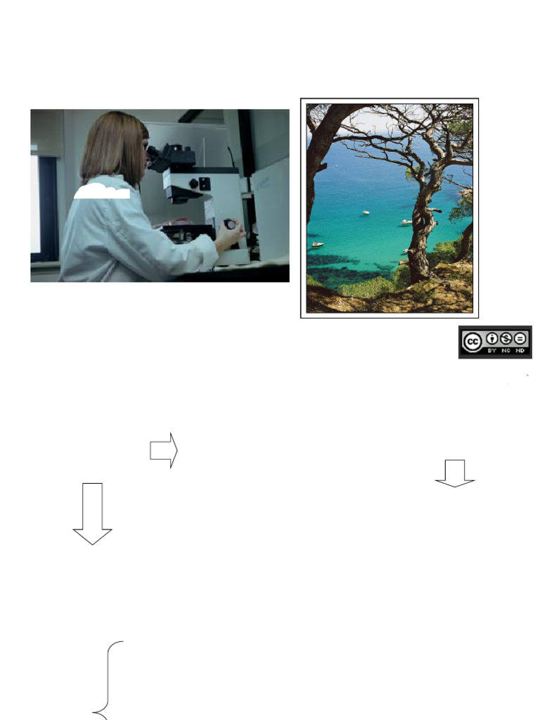 U5_3 Els Serveis i El Turisme | PDF