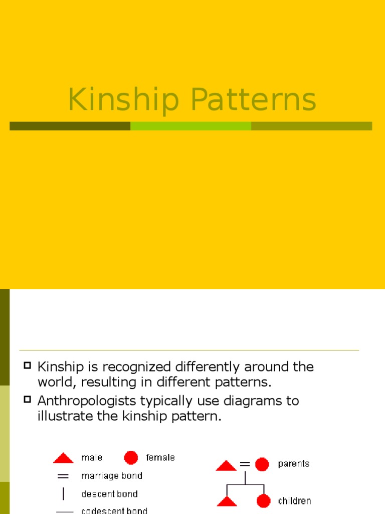 Kinship Patterns | PDF | Kinship | Kinship And Descent