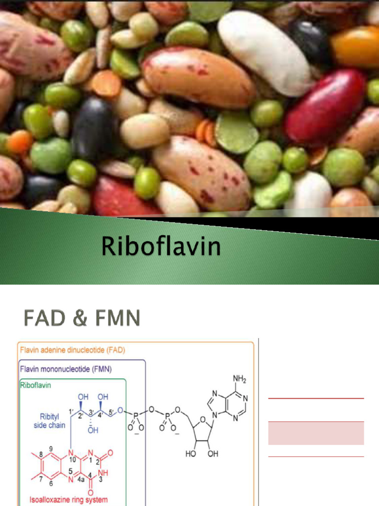 6. Large-scale Production Processes + Riboflavin | PDF | Biochemistry ...