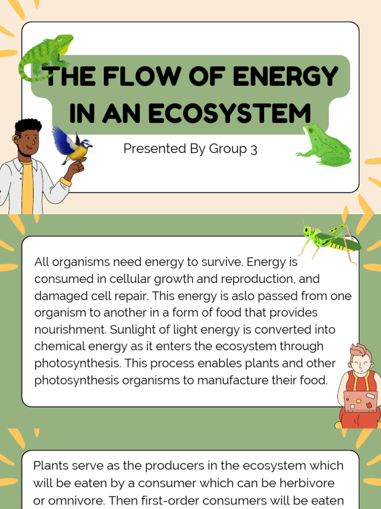 Energy Pyramids Educational Presentation in Organic Lined Style ...