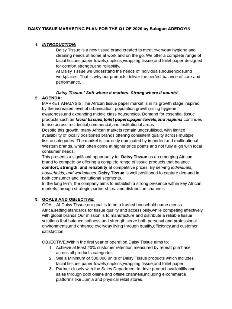 Daisy Tissue Campaign Plan-1 | PDF | Brand | Retail
