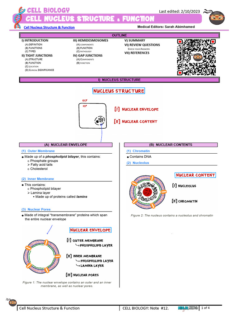 10600020 Cell Biology Basics 002 Cell Nucleus Structure & Function (2 ...