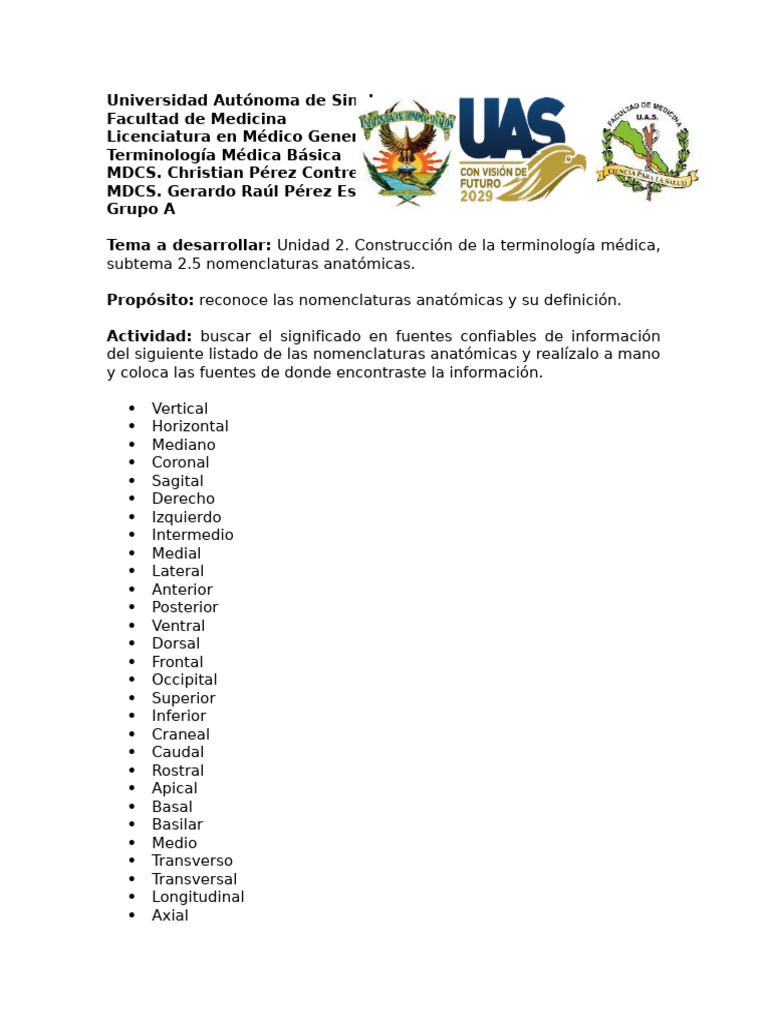 Términos anatómicos | PDF