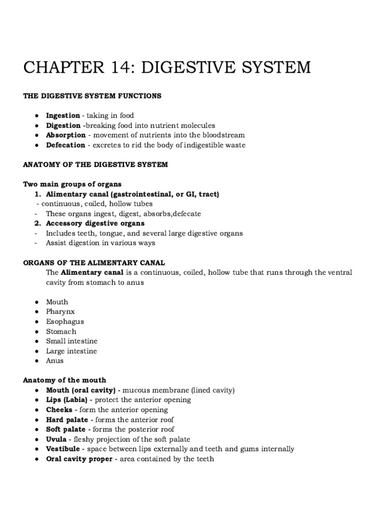 Module 14 Digestive System | PDF | Stomach | Small Intestine