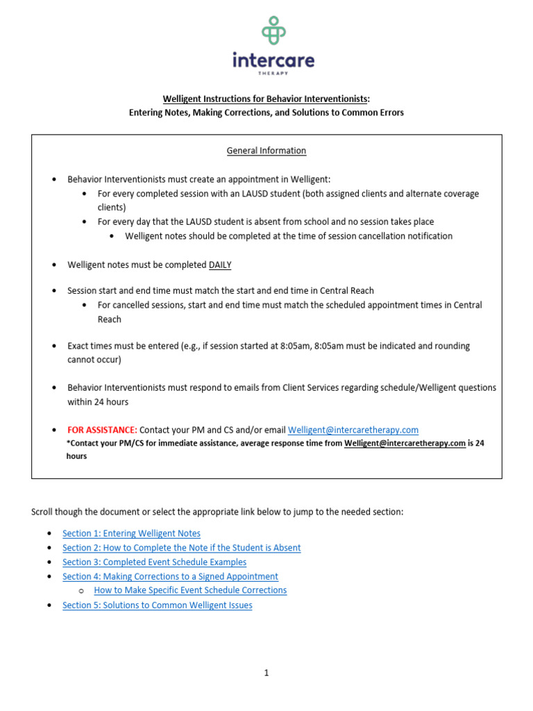 Welligent Instructions BI | PDF | Computing