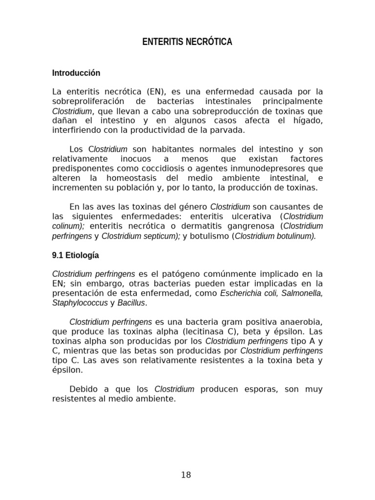 Enteritis Necrotica | PDF | Diarrea | Las bacterias