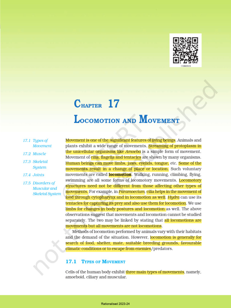 Locomotion and Movement Annotated NCERT | PDF | Muscle Contraction ...